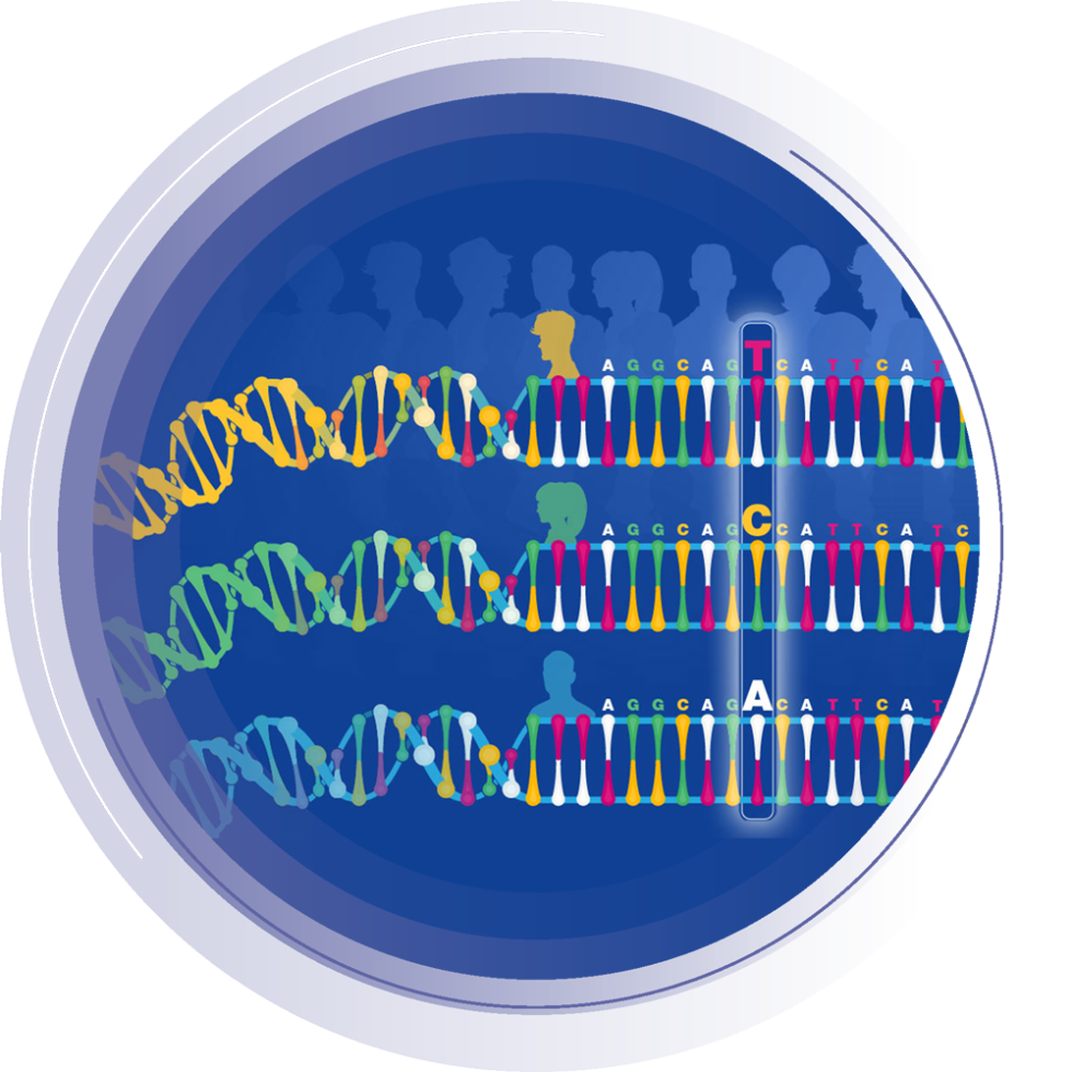Eurofins Genomics - Pop Gen - Population scale screening arrays