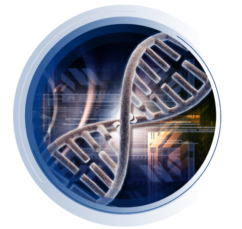 Biomarker Discovery by NGS and microarrays